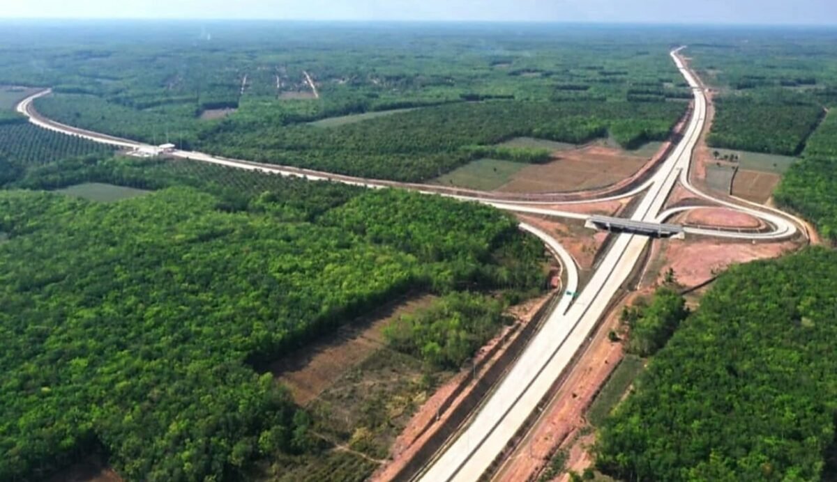 Suplai 1000 Pohon untuk Proyek Jalan Tol IKN di Kalimantan - Tani Sejahtera